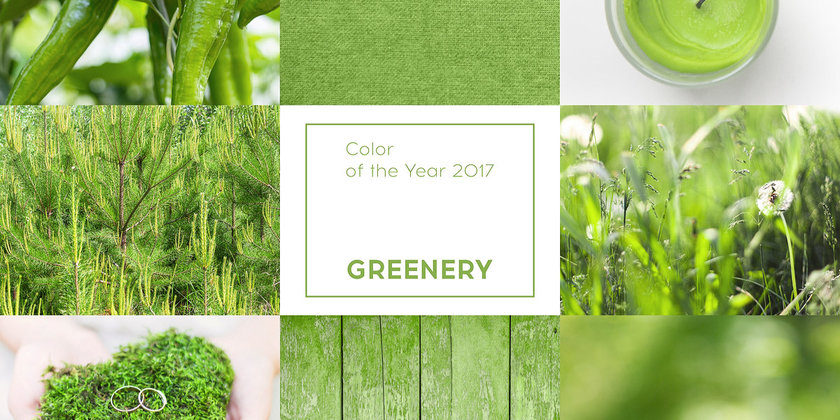 Greenery é a cor de 2017; saiba como investir nesta tendência