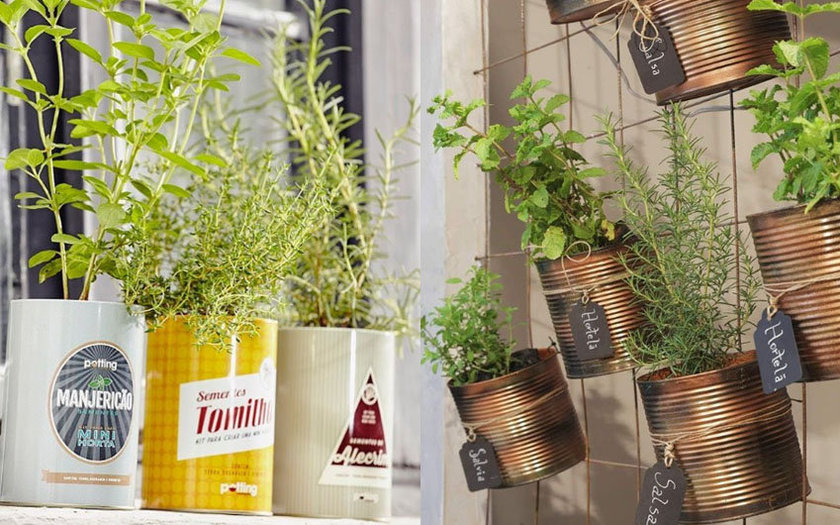 5 dicas que vão te ajudar a começar uma hortinha em casa