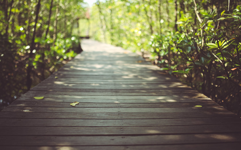 7 trilhas para fazer em SP sem precisar sair da capital