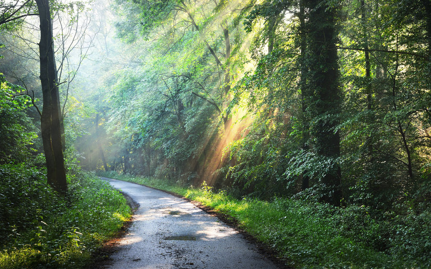 7 trilhas para fazer em SP sem precisar sair da capital