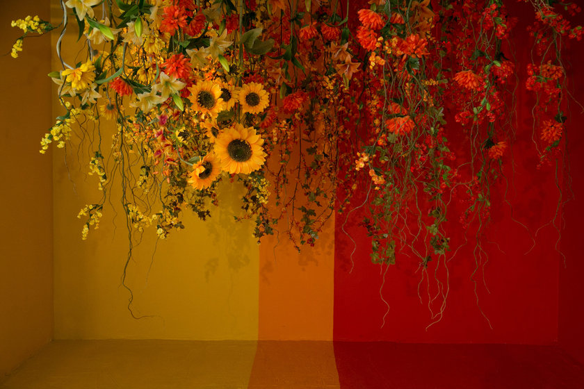 Cenários interativos para fotos - Guia da Semana