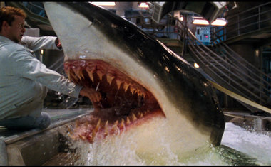 9 filmes de tubarão que você precisa assistir se gosta do tema