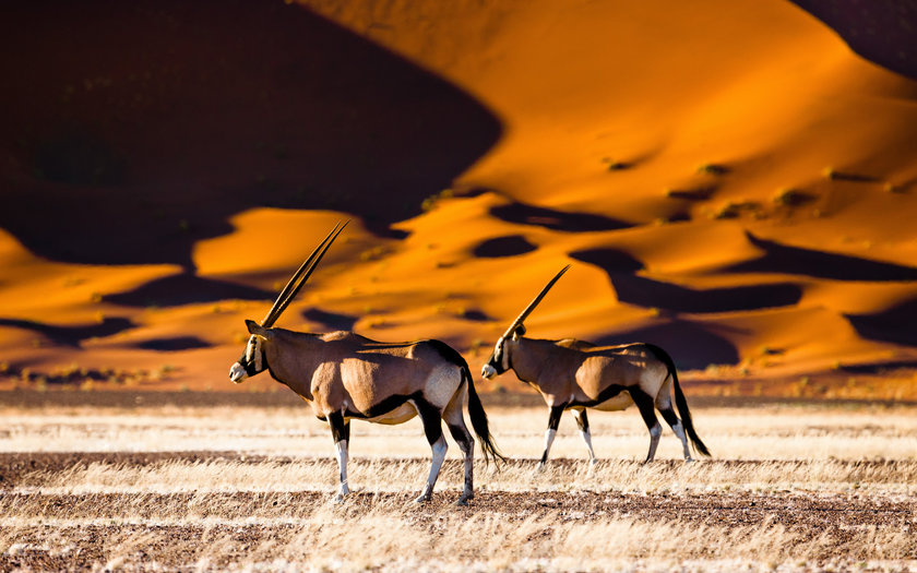 8 destinos que vão te convencer a visitar a Namíbia