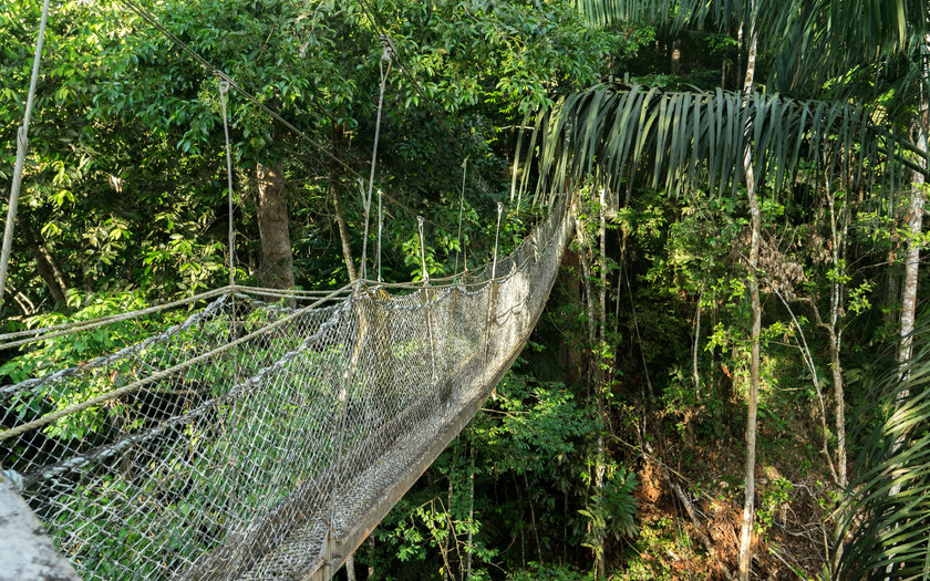 9 lugares que vão te convencer a visitar as Guianas