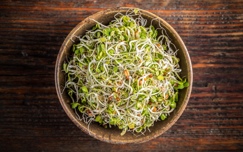 Conheça 7 brotos comestíveis e suas funções