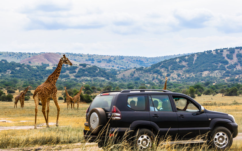 Conheça Ruanda, um fascinante país africano