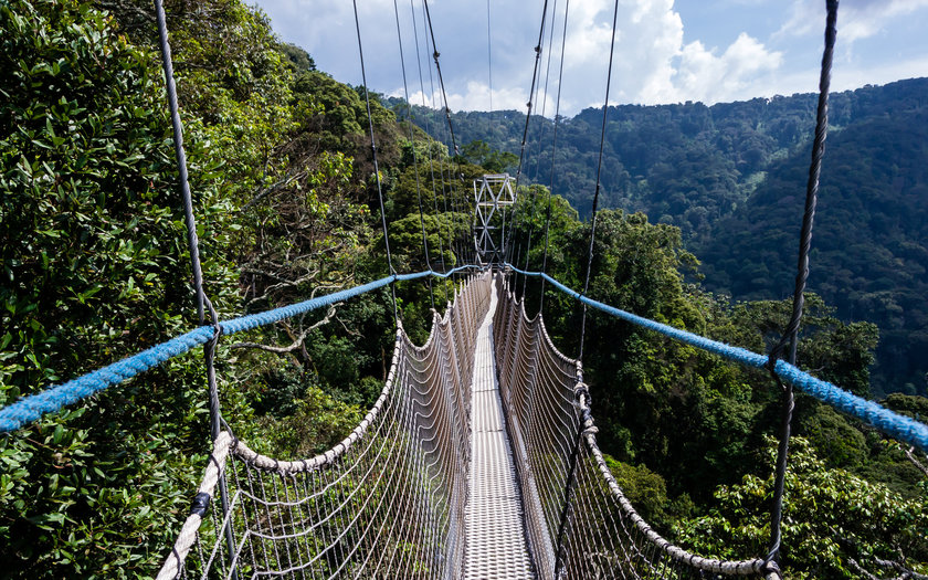 Conheça Ruanda, um fascinante país africano