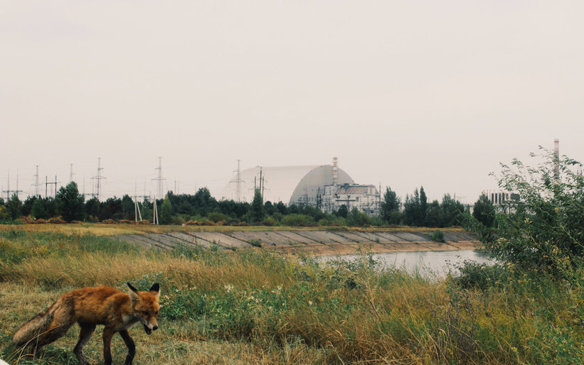 Turismo em Chernobyl: o que você precisa saber?