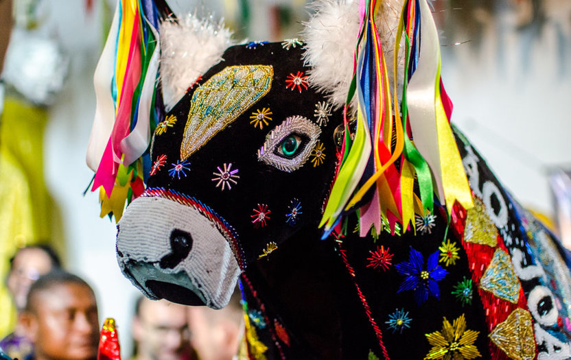 8 lugares incríveis para conhecer no Butantã