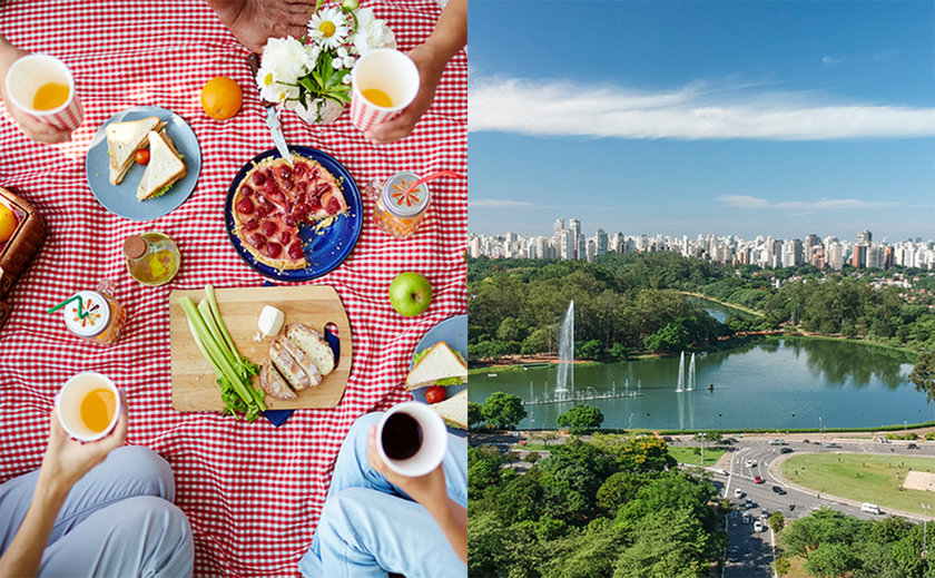 Do Ibirapuera ao Horto Florestal: 10 parques que vale a pena visitar em ...