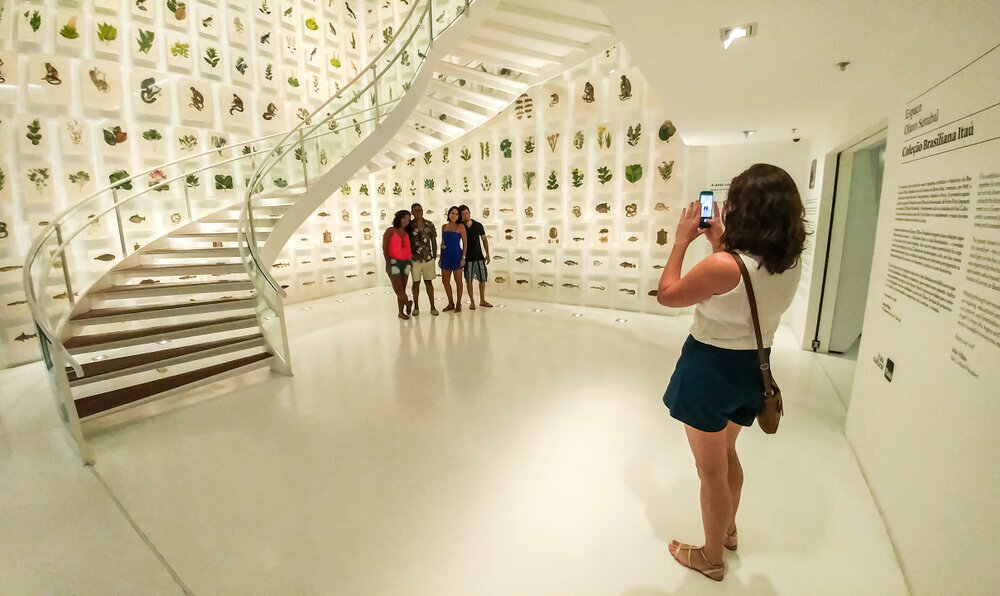 21 museus imperdíveis para visitar em São Paulo pelo menos uma vez na vida