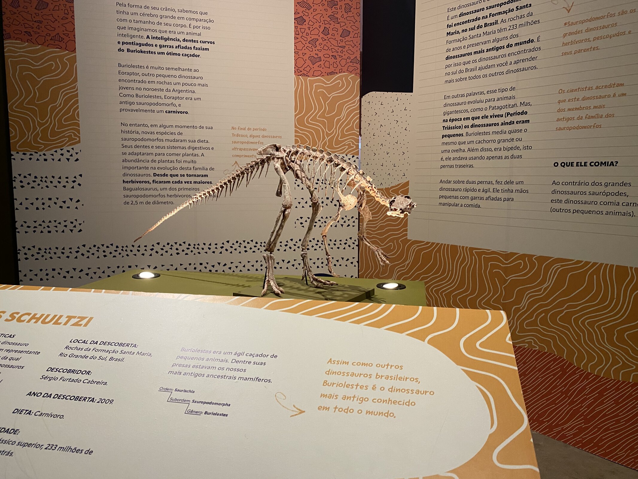 Saiba tudo sobre a exposição 'Dinossauros: Patagotitan - O Maior do ...