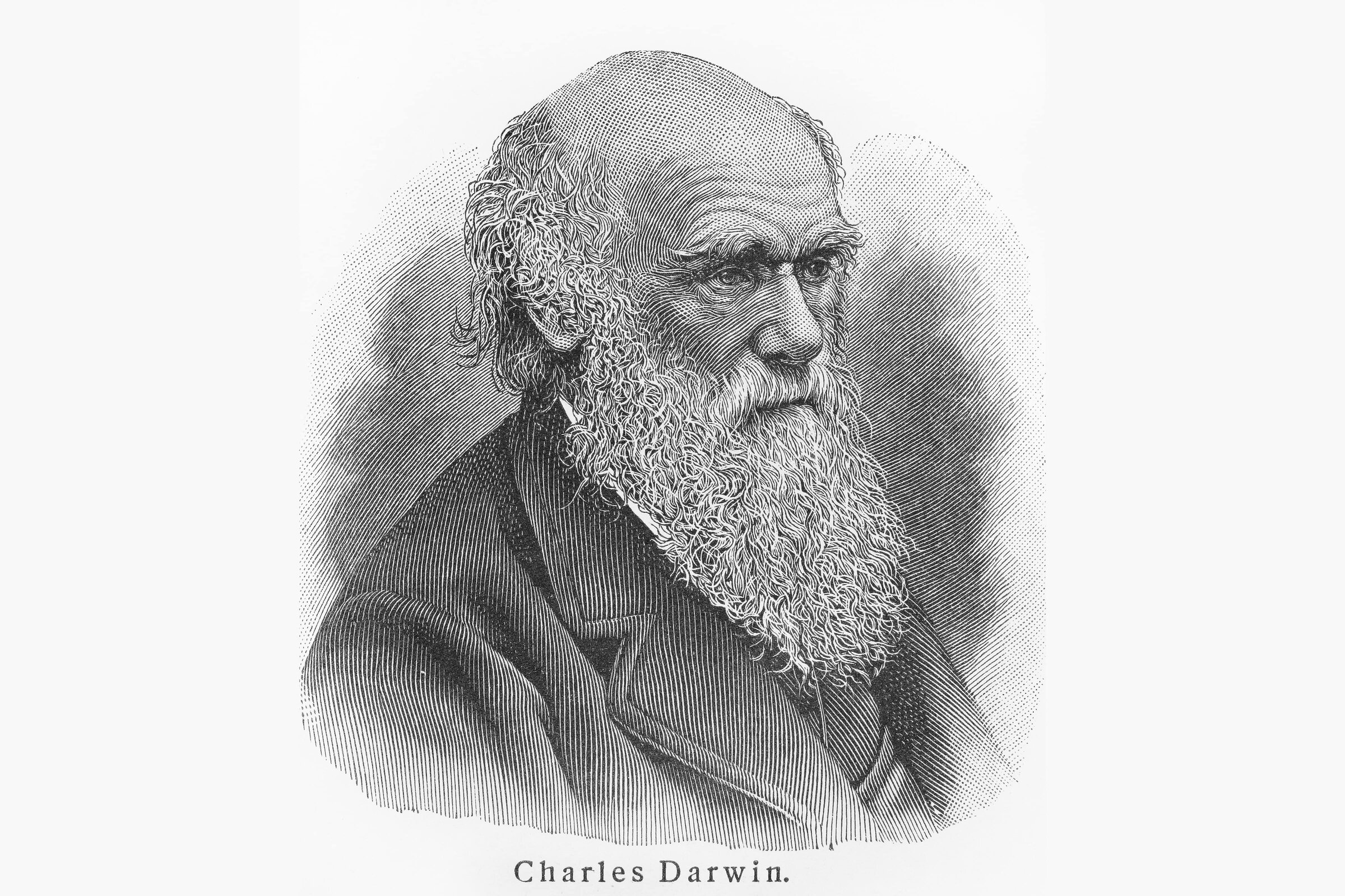 21 exposições imperdíveis em São Paulo em dezembro de 2022