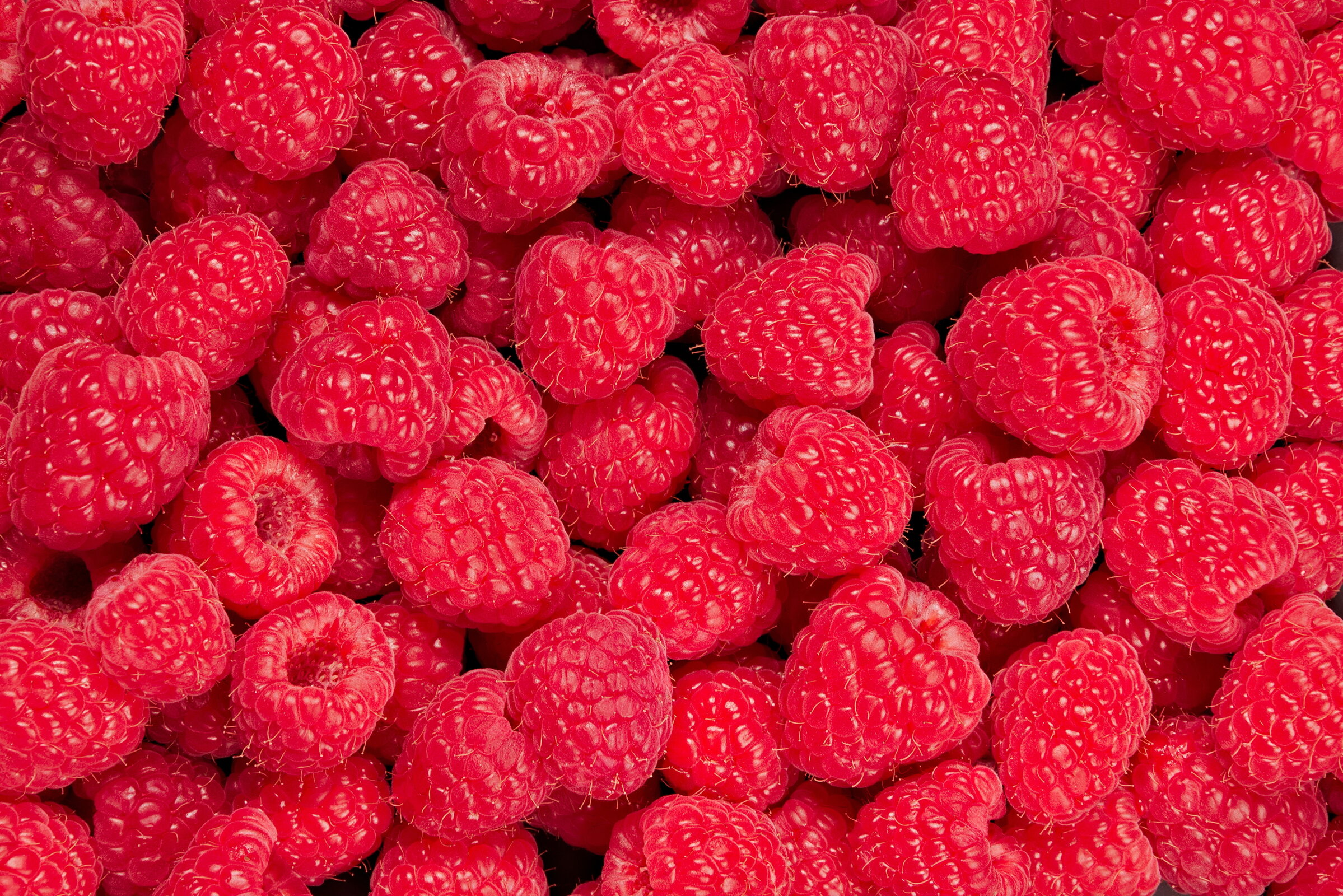 Aprenda a fazer uma inusitada e deliciosa taça de tapioca cremosa com ... Aprenda a fazer uma inusitada e deliciosa taça de tapioca cremosa com ...