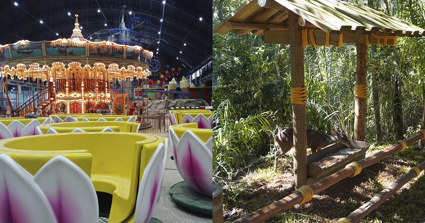 Saiba tudo sobre o Animália Park, parque de diversão com reserva ...