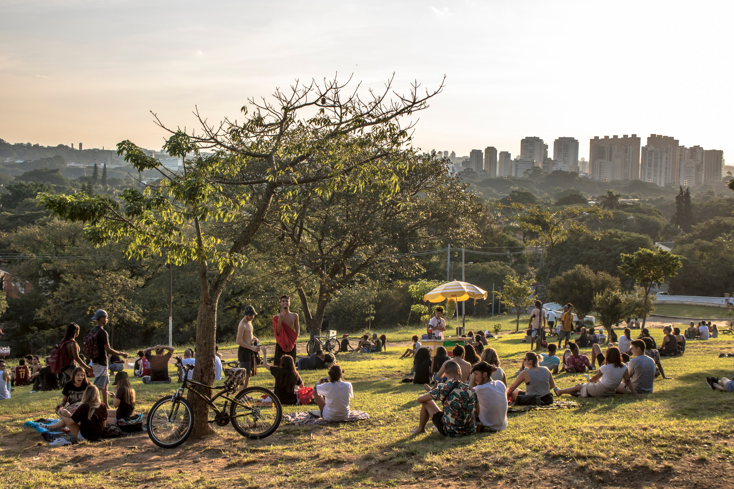 25 passeios gratuitos em São Paulo que realmente valem a pena