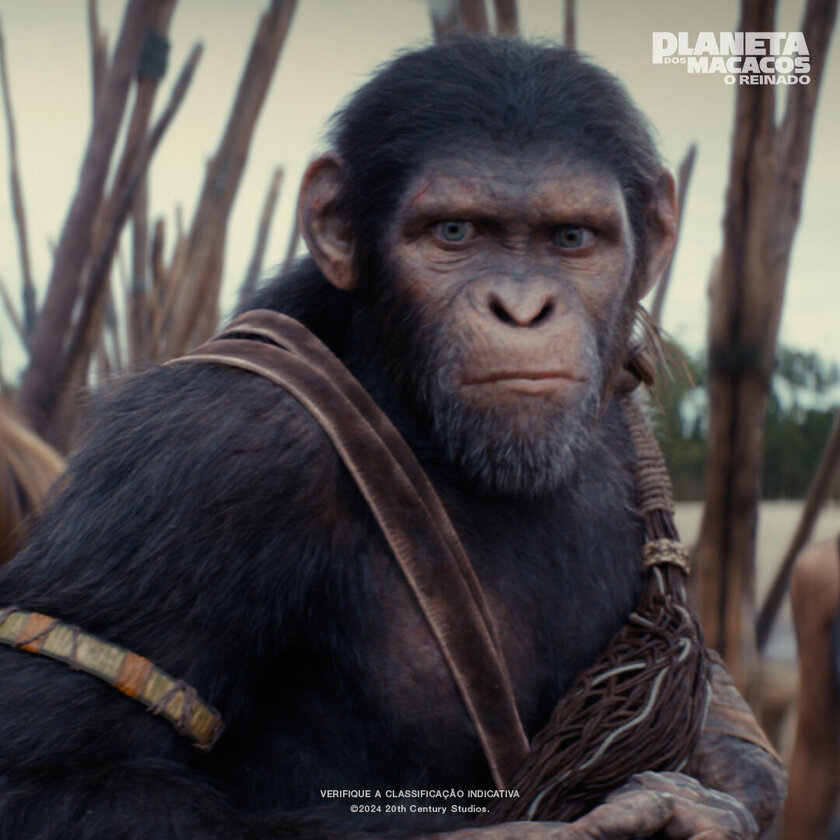 De 29 de julho a 04 de agosto: confira as estreias do streaming nesta ...