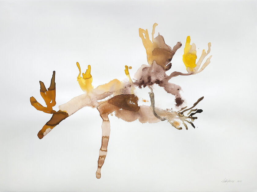 Linha d’Água: exposição reúne obras de Maria Villares e Coca Rodriguez ...