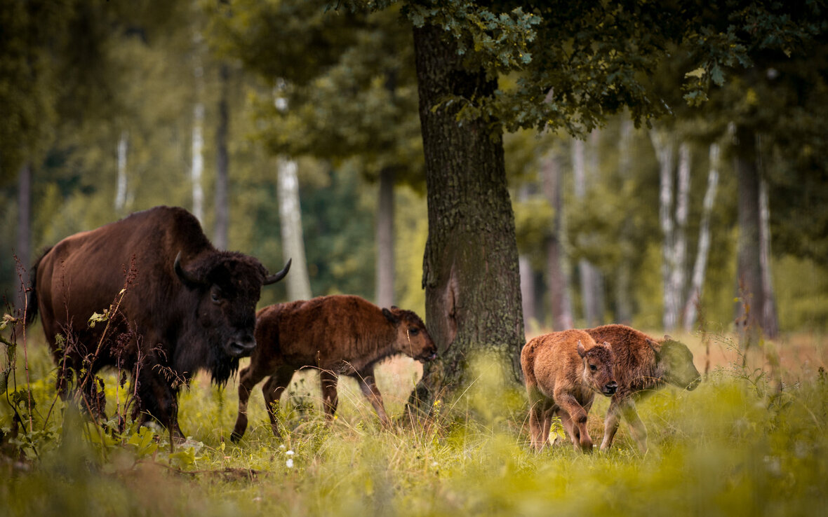 10 lugares imperdíveis para conhecer na Polônia