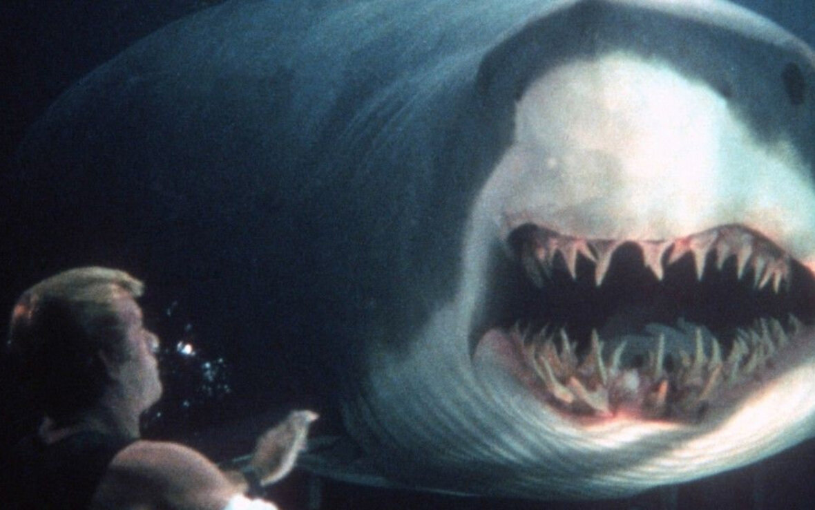 11 filmes que todo apaixonado por tubarões precisa assistir uma vez na vida