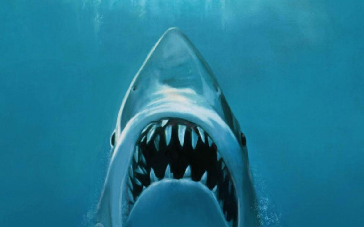 11 filmes que todo apaixonado por tubarões precisa assistir uma vez na vida
