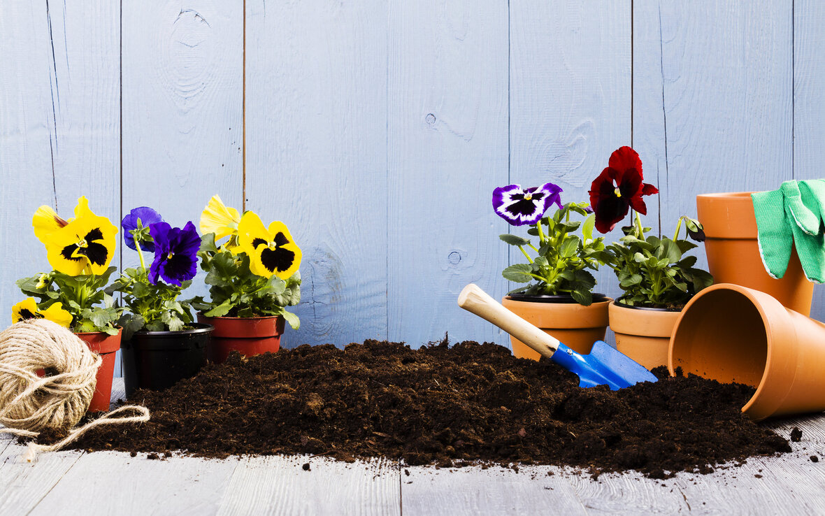 10 dicas para fazer uma hortinha em casa