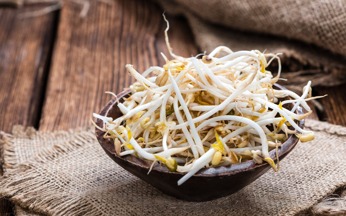 Conheça 7 brotos comestíveis e suas funções