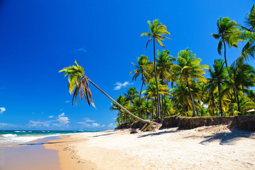 10 lugares da Bahia para conhecer online