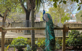 13 lugares que provam que existem áreas verdes em São Paulo