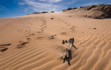 10 lugares no Brasil com dunas incríveis que você precisa conhecer