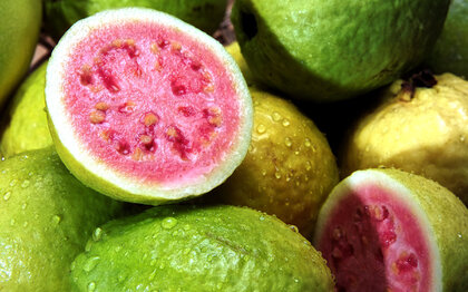 10 frutas típicas do inverno e seus benefícios