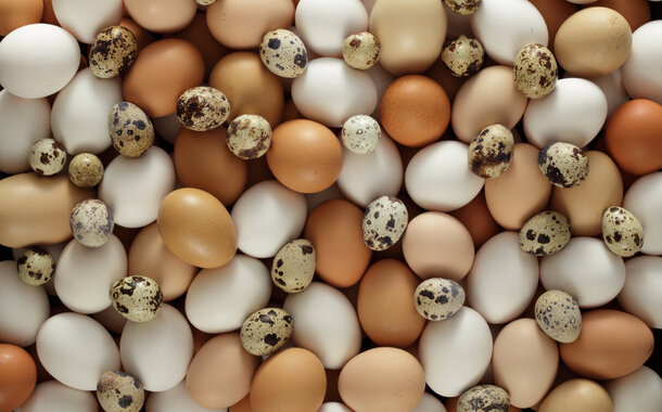 5 mitos e verdades sobre o ovo