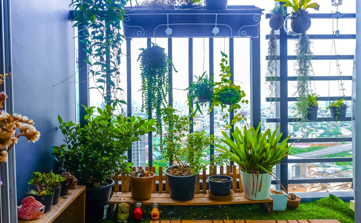 10 dicas para fazer uma hortinha em casa