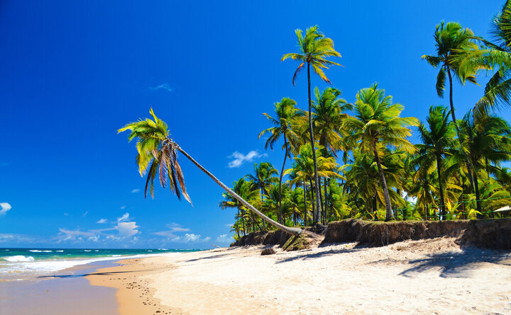 10 lugares da Bahia para conhecer online