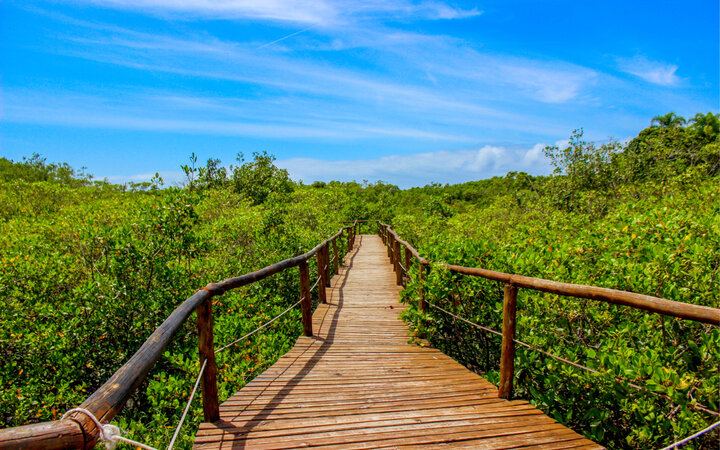 8 parques estaduais em São Paulo que você precisa conhecer