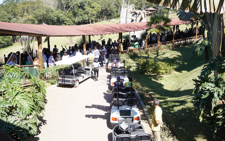 Saiba tudo sobre o Animália Park, parque de diversão com reserva ...