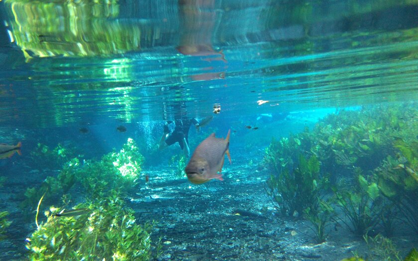 10 praias de água doce para conhecer no Brasil