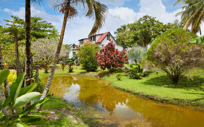 9 lugares que vão te convencer a visitar as Guianas
