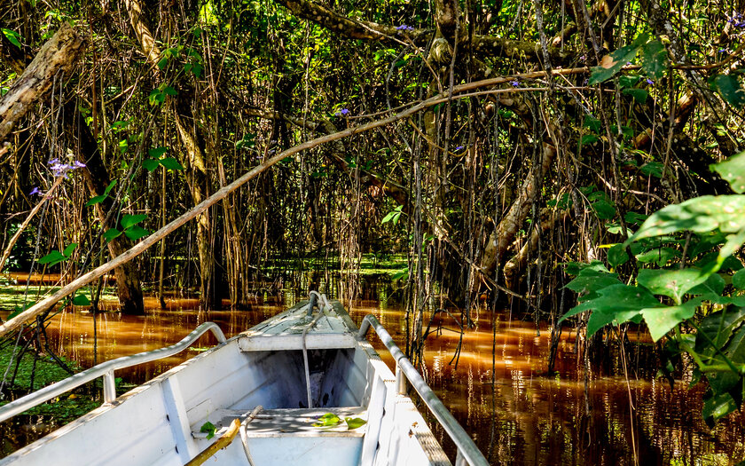 5 lugares que vão te convencer a explorar o Pará