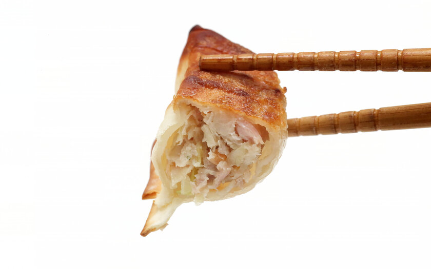 Como fazer guioza em casa