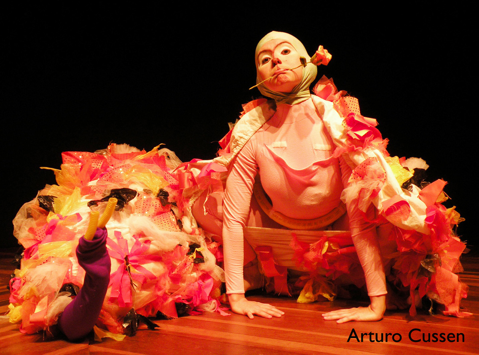 Humanimal - Teatro Glauce Rocha - Guia da Semana