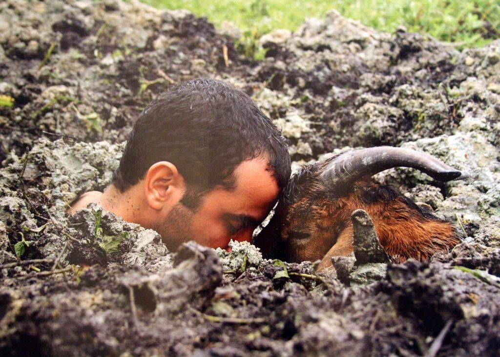 Cor, Cordis - Museu de Arte Contemporânea - MAC - Guia da Semana